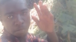 Intimba Ya La Vie Series Ep76 Aline Ahaye Shema Impano Ikomeye None La ...