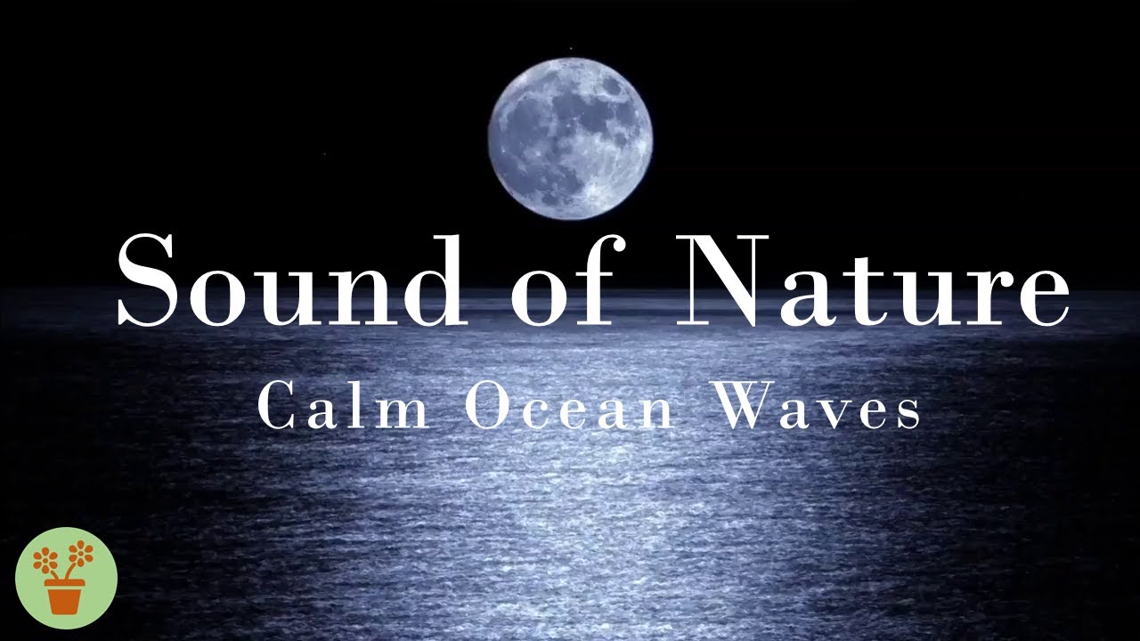 🌼Calm Sound of Ocean Waves: For Sleep/Relaxation/Meditation - YouTube