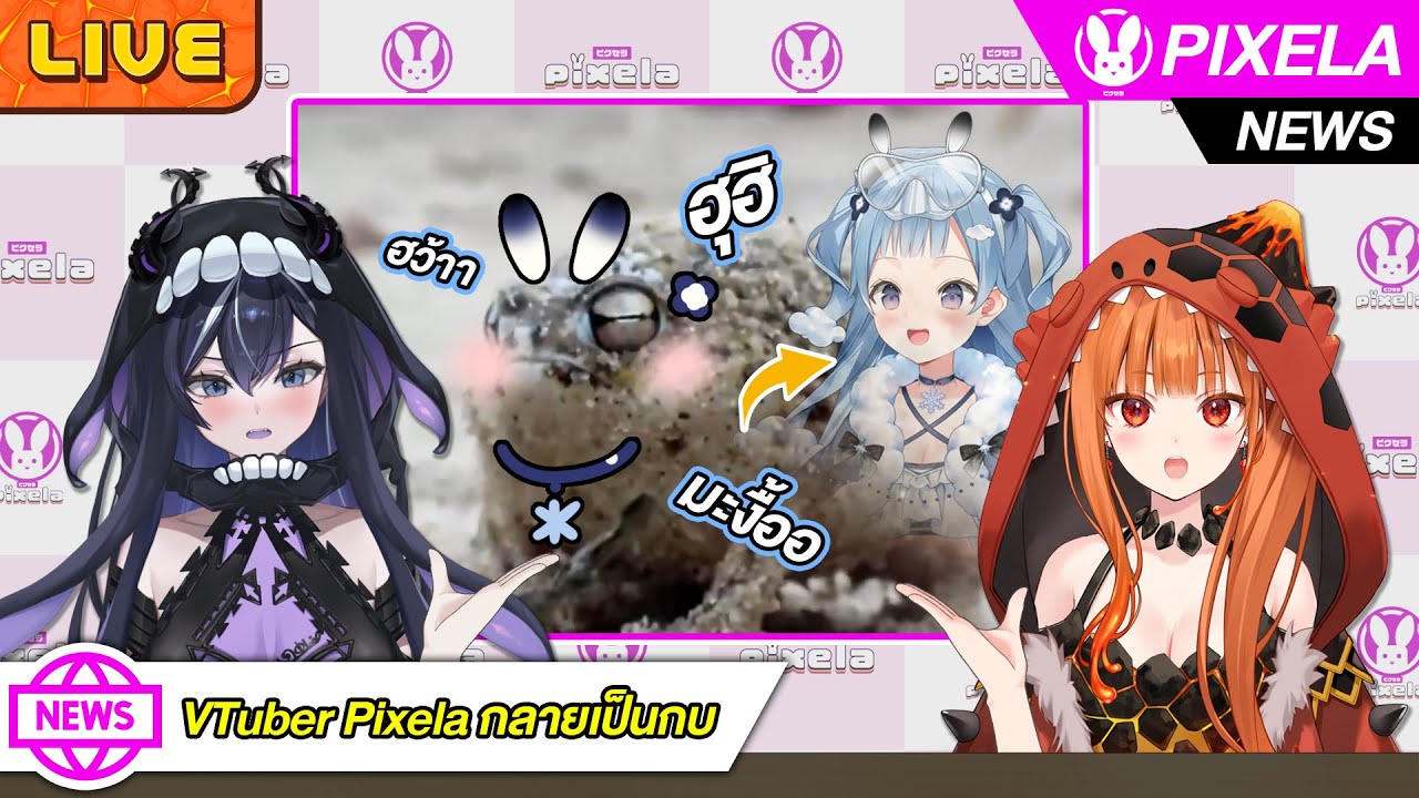 【Pixela News】VTuber Pixela กลายเป็นกบ ft.@XonebuWorldEnd - YouTube