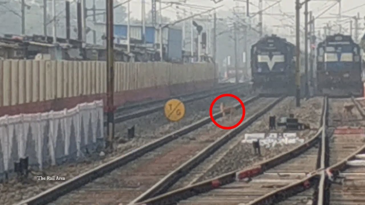 Fastest Hi Speed Maitree Express || International Train - YouTube