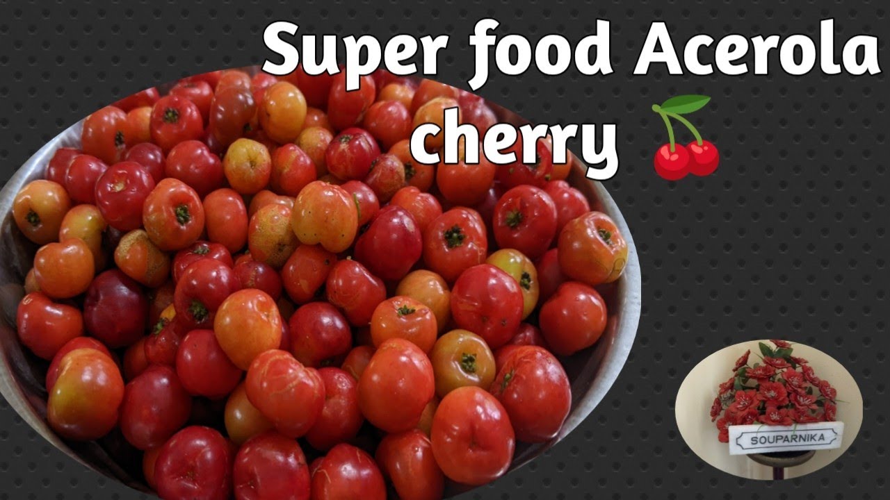 Acerola cherry and its benifits - YouTube