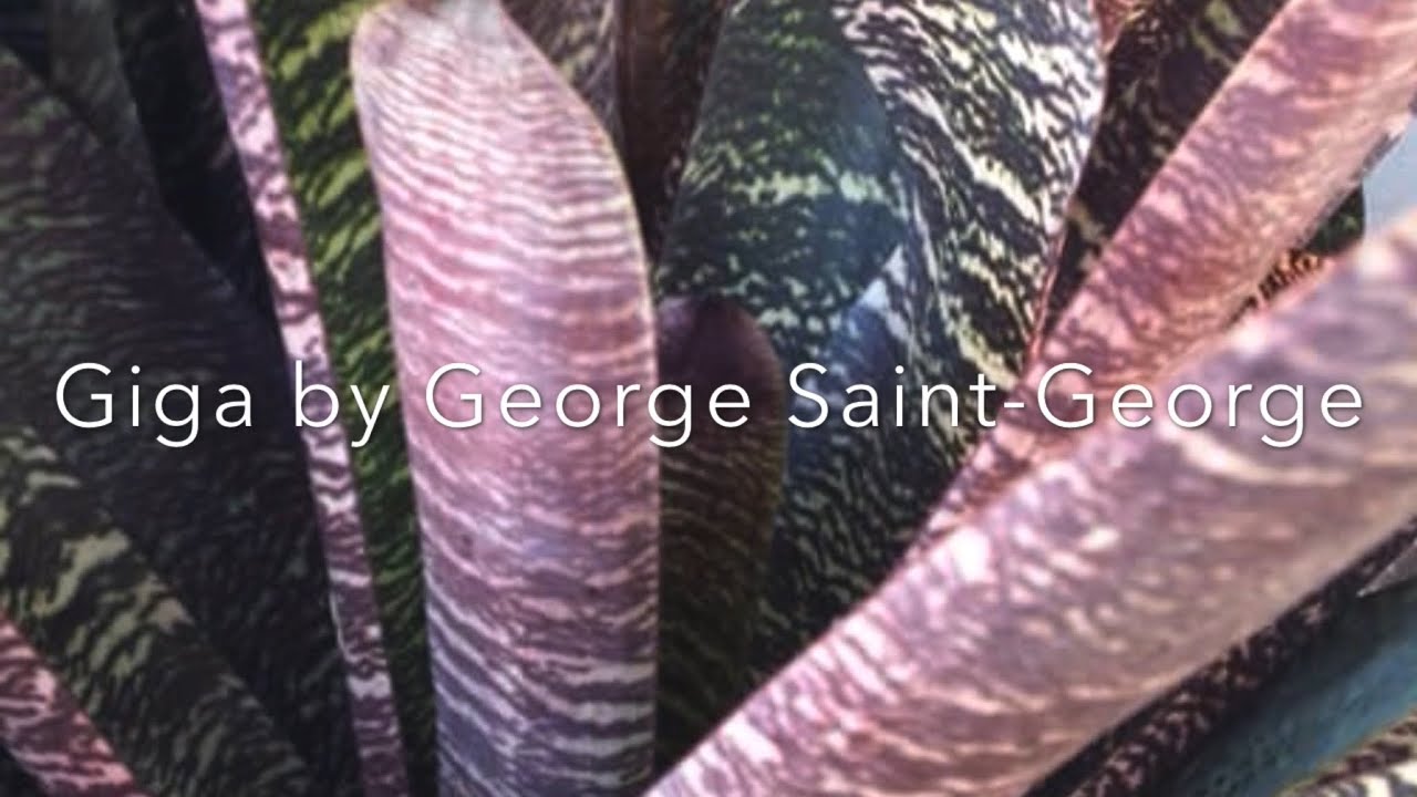 A3: Giga, George Saint-George, ABRSM Violin Grade 4, 2020-2023 - YouTube
