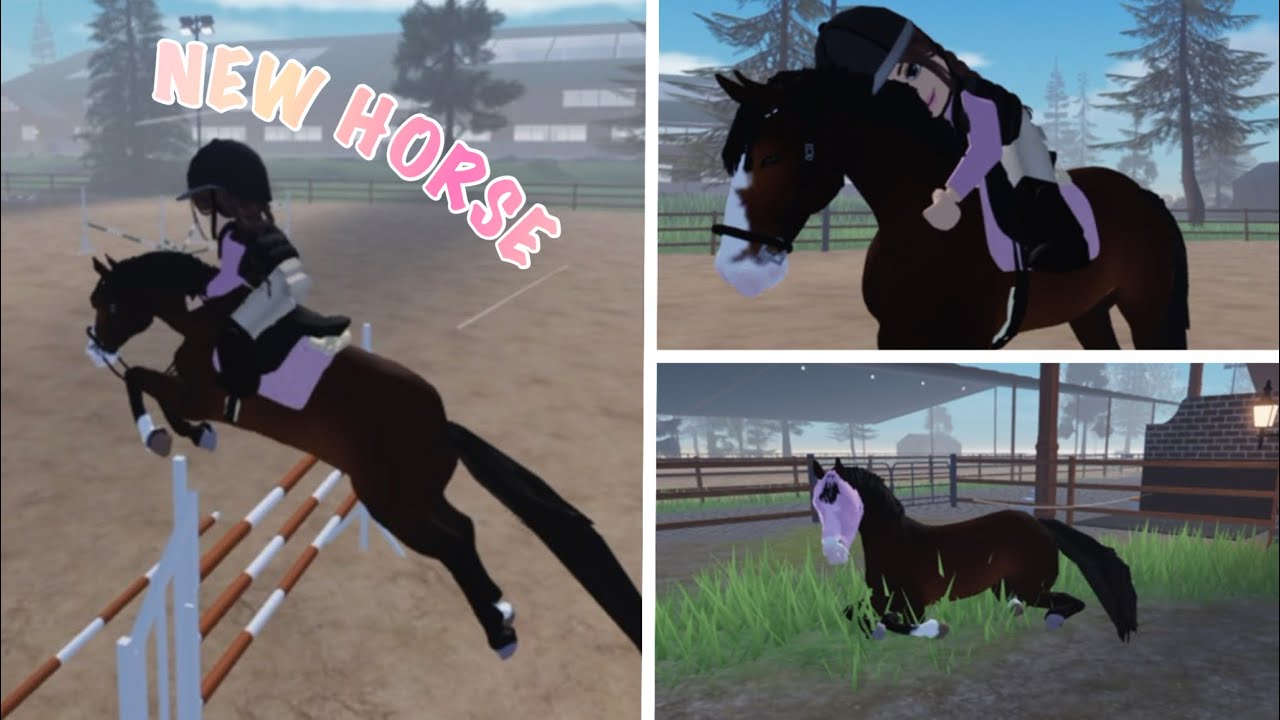 Riding my new horse!!!!!! - YouTube