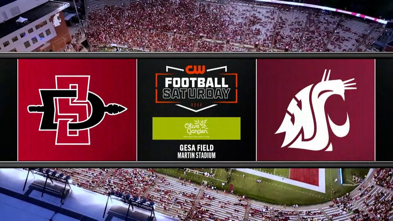 Wazzu Logo