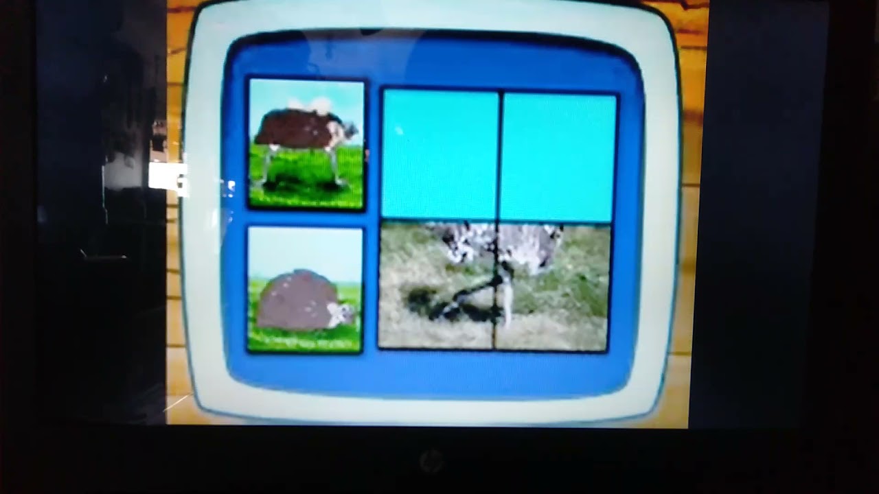 go diego go rhea puzzles part 2 - YouTube