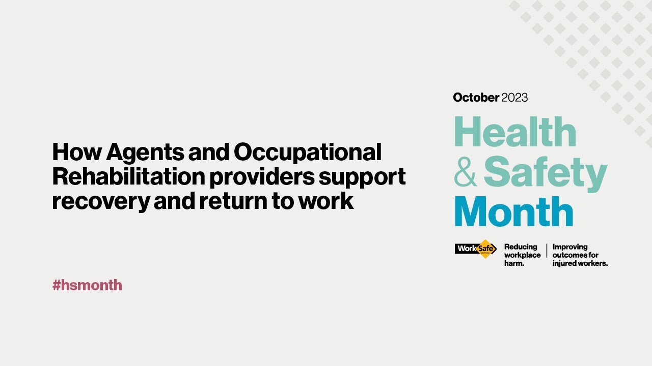 How agents and occupational rehabilitation providers support recovery ...