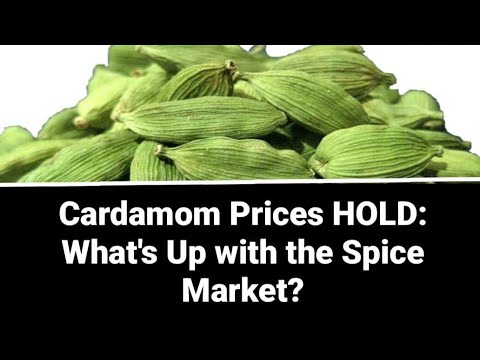 Cardamom Prices HOLD: What's Up with the Spice Market? - YouTube