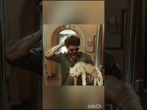 thalapathy vijay with cat #catvideos #thalapathyvijay #shortvideo