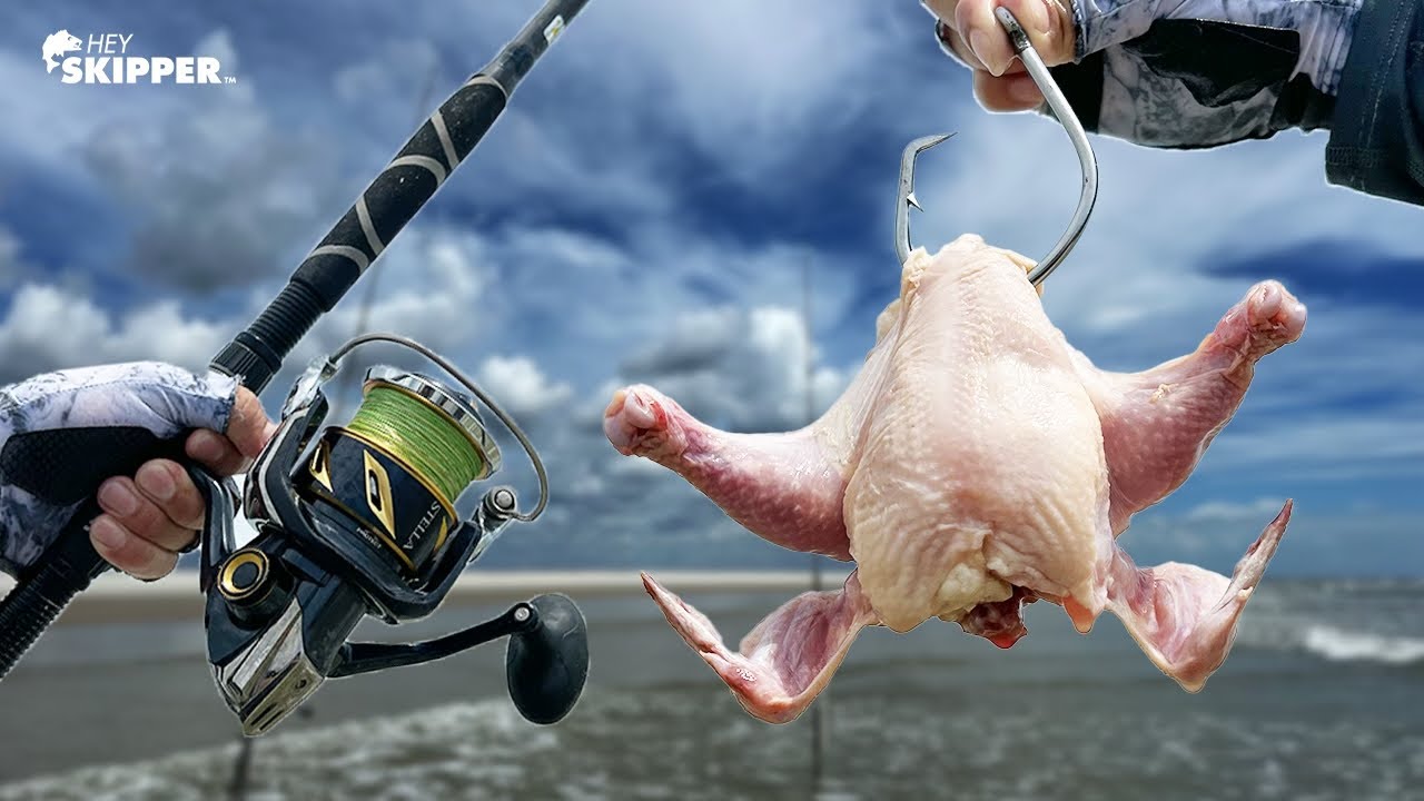 Does a WHOLE CHICKEN work as Fishing Bait?? What’ll this catch? - YouTube