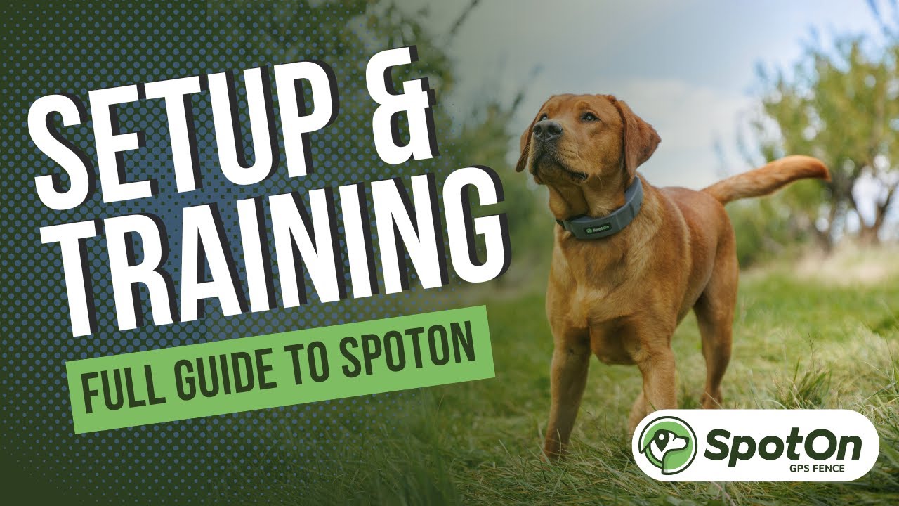 Getting Started with SpotOn: Training & Setup - YouTube
