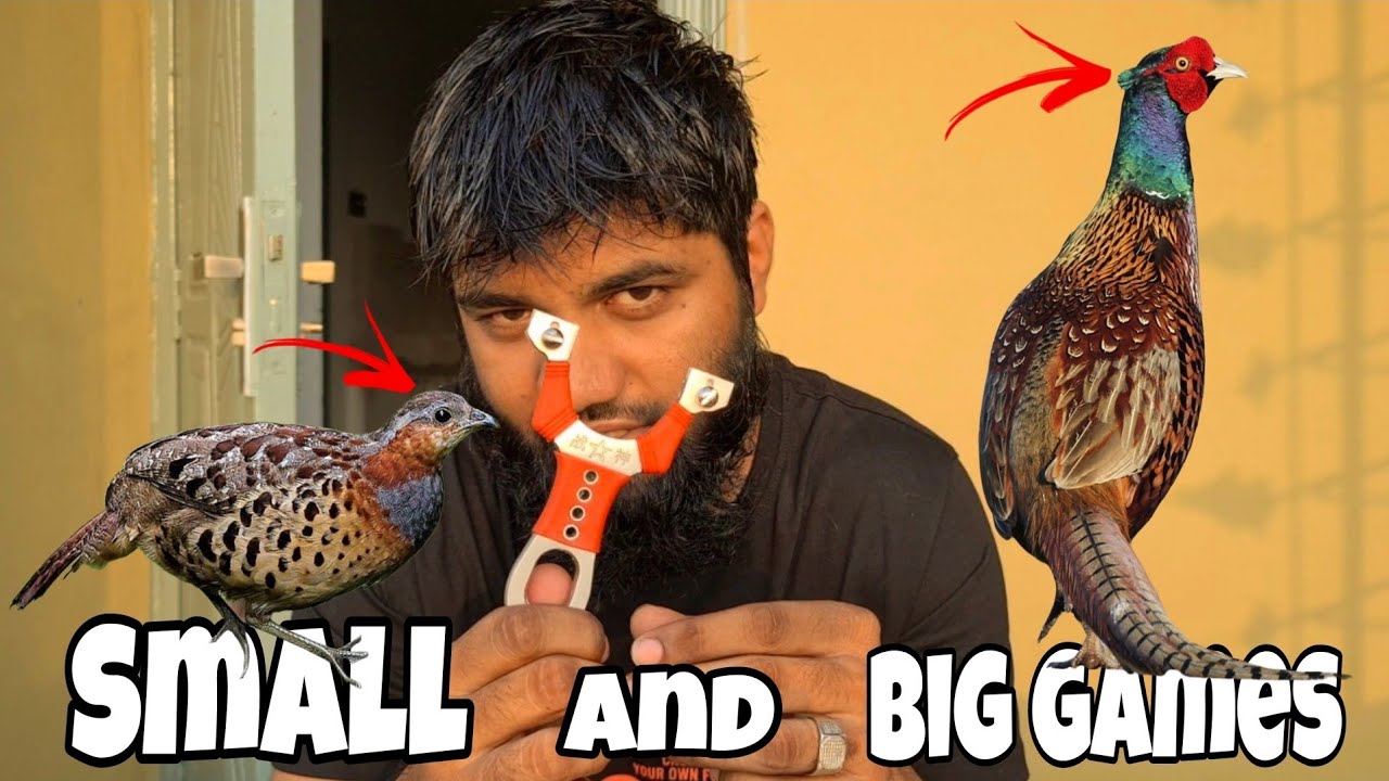 Small & Big Hunting Games ! - YouTube