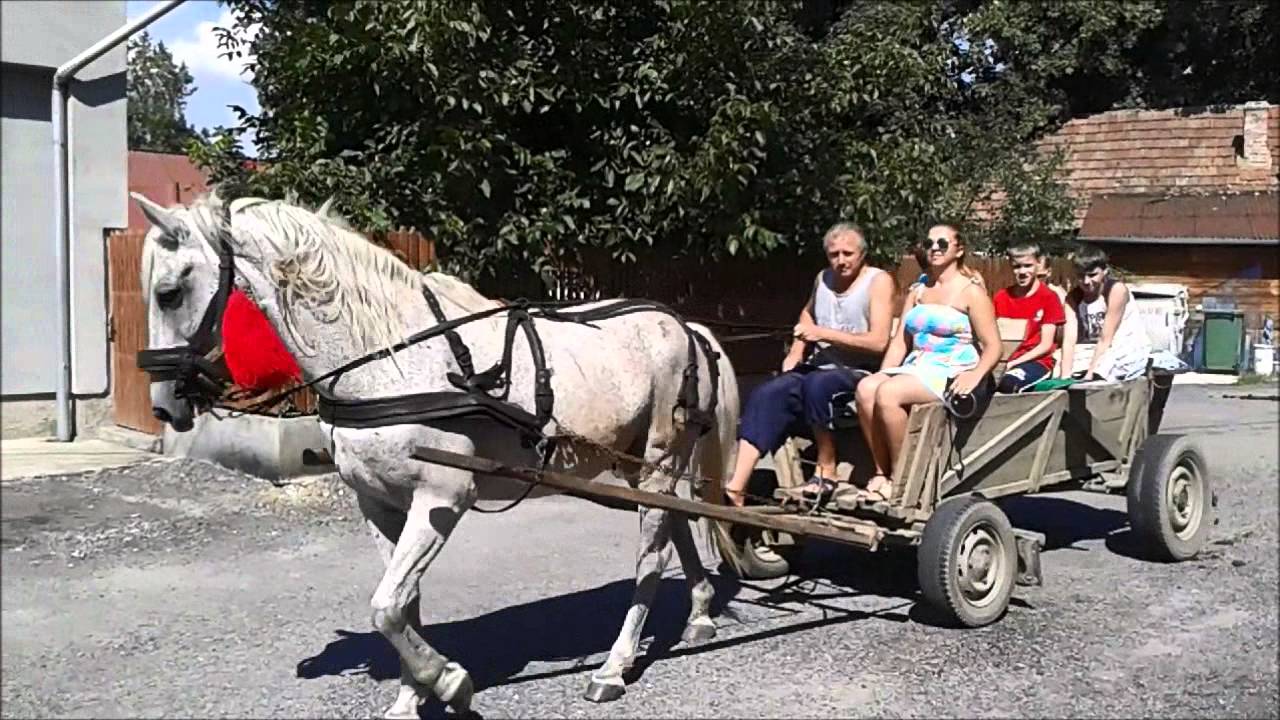 Vakantie 2014 - Nusfalau Roemenië - YouTube