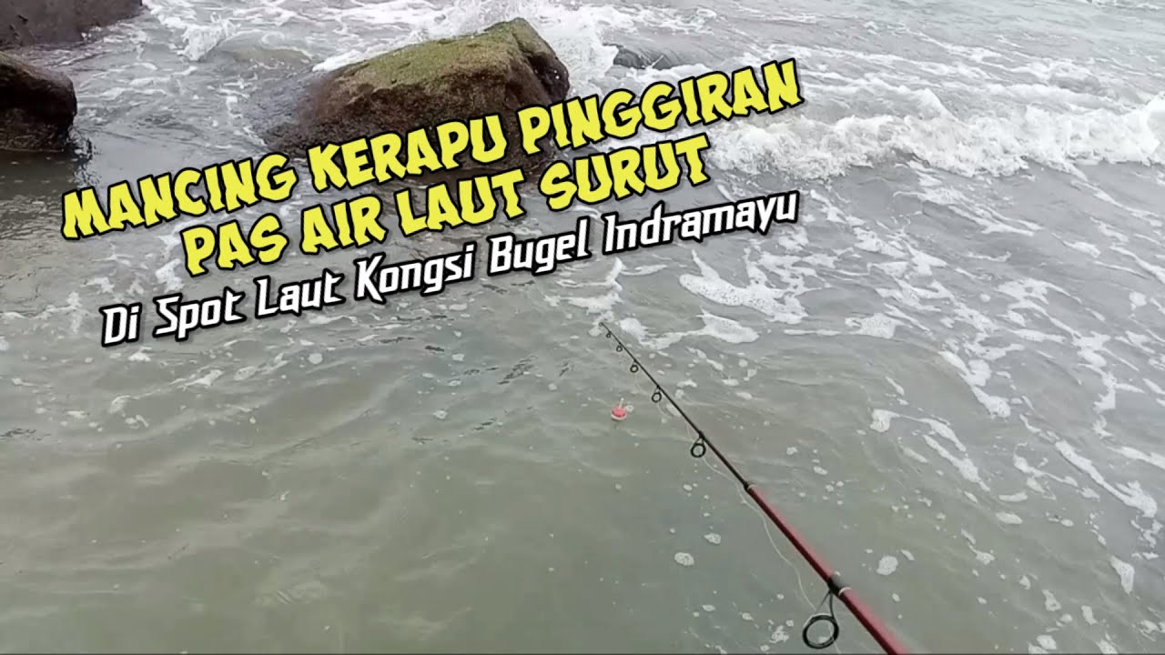 Mancing Kerapu Pinggiran Pas Air Surut Di Spot Laut Kongsi Bugel Indramayu !!! - YouTube