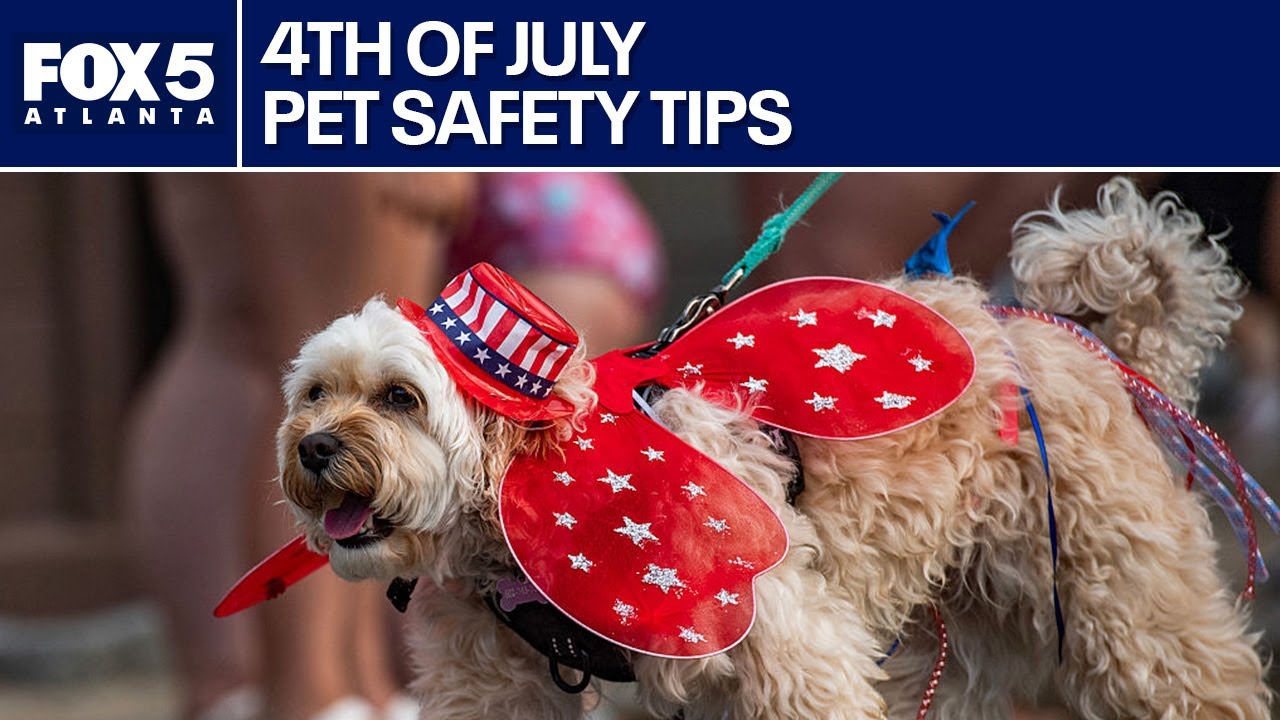 Fireworks, July 4 safety for pets | FOX 5 News - YouTube