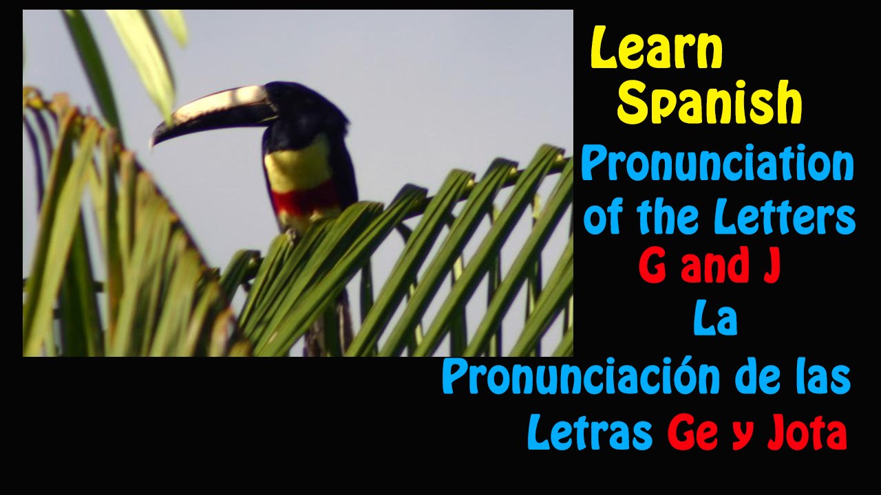 Learn Spanish Pronunciation Of The Letters G And J YouTube learn-spanish-pronunciation-of-the-letters-g-and-j-youtube