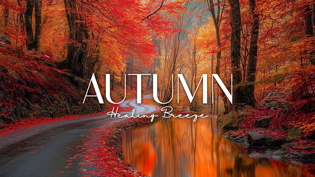 4K Cozy Autumn Vibes, Enchanting Autumn Forests 🍁 With Beautiful Piano ...