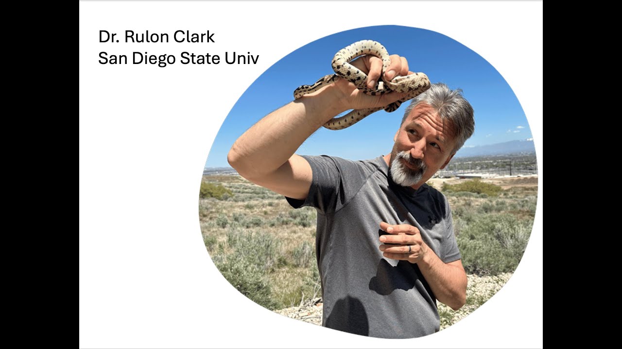 Rulon Clark's Snake Week Webinar 2025 - YouTube