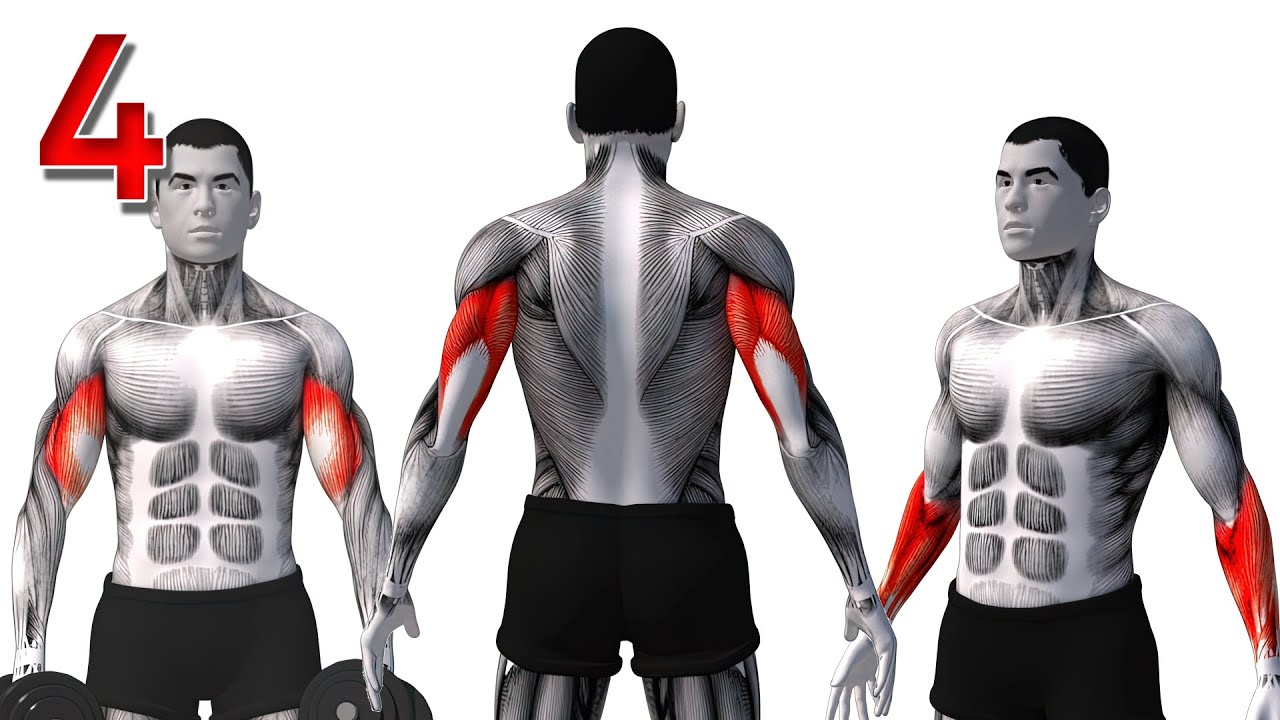 Do These 12 Exercises to Get Bigger Arms (Forearm, Bicep, Tricep) - YouTube