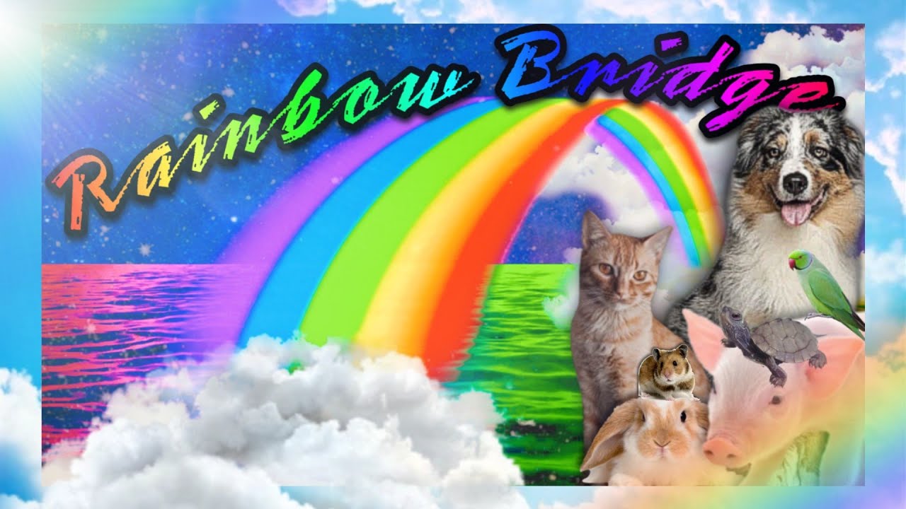 The Rainbow Bridge 🌈 poem about the loss of a pet - pet memorial poem ...