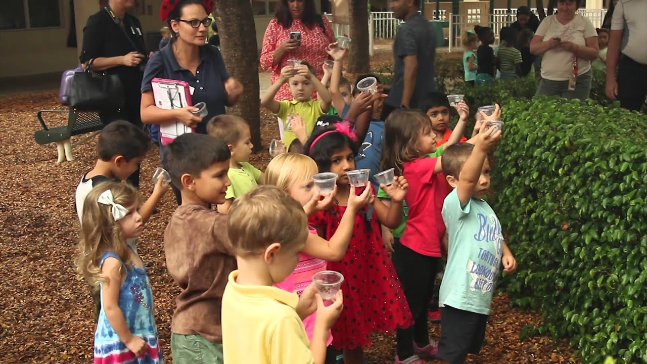 Discovery Preschool Coconut Creek Earth Day Celebration Lady Bug ...