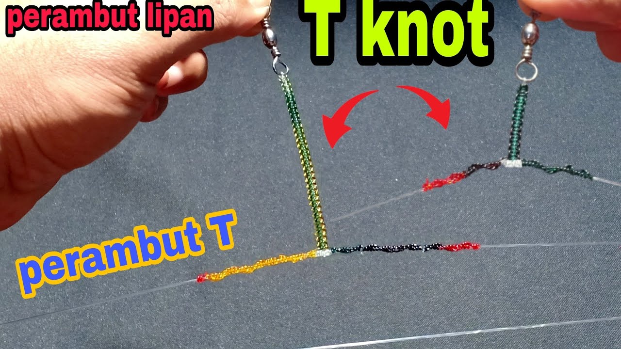 simpul T T knot perambut lipan perambut T - YouTube