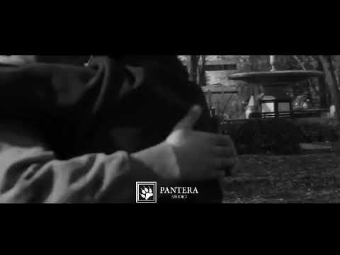 Ит до болгону жакшы бирок дос ит болгону жаман