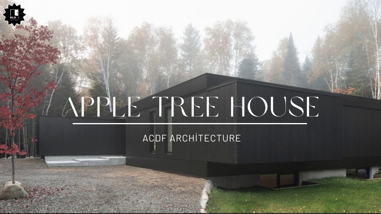 A Stunning Home Designed Around a Century-Old Tree : Apple Tree House ...