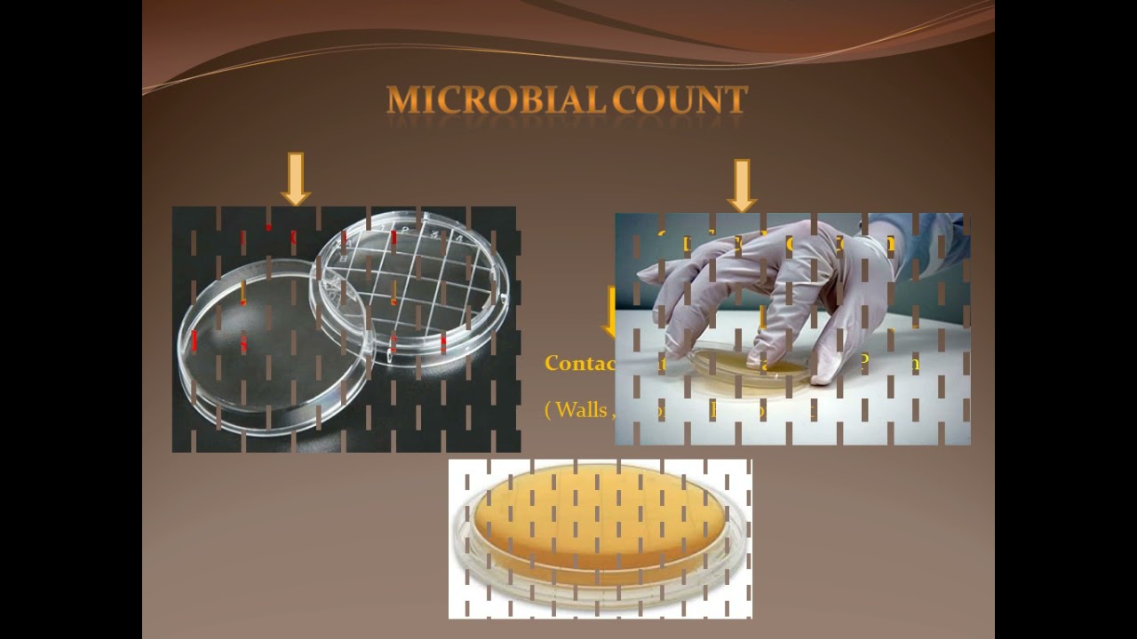 Microbiological Environment Monitoring in Pharmaceutical Industry - YouTube