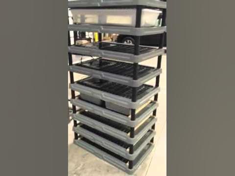 Homemade snake rack for ball pythons - YouTube