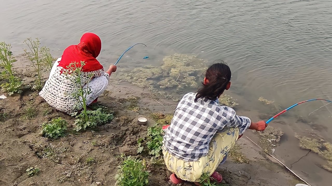 Traditional fish trap || Unbelievable Brahmaputra River site hook ...