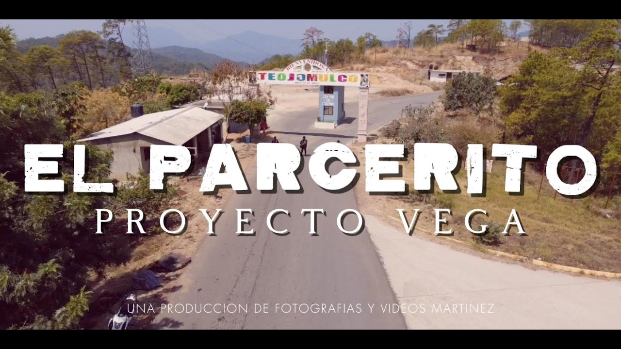 EL PARCERITO - PROYECTO VEGA (Video Oficial) - YouTube
