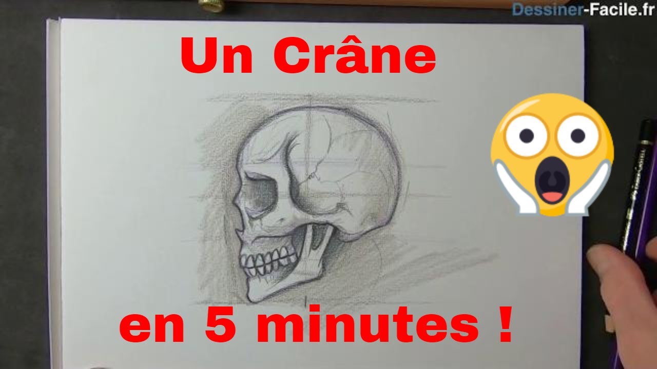 Dessiner Un Crane De Face: Dessin Crane Humain – PCZXR