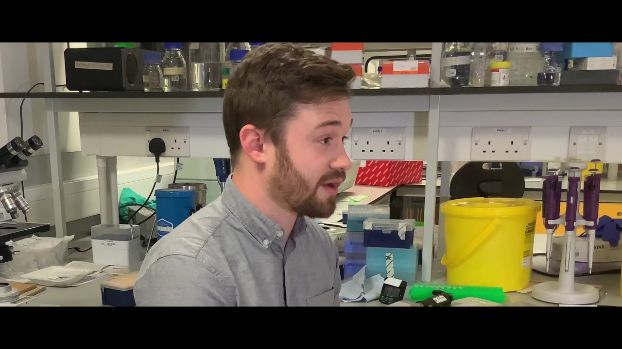 Sam Tingle shares why he chose an Academic Foundation Programme in the ...