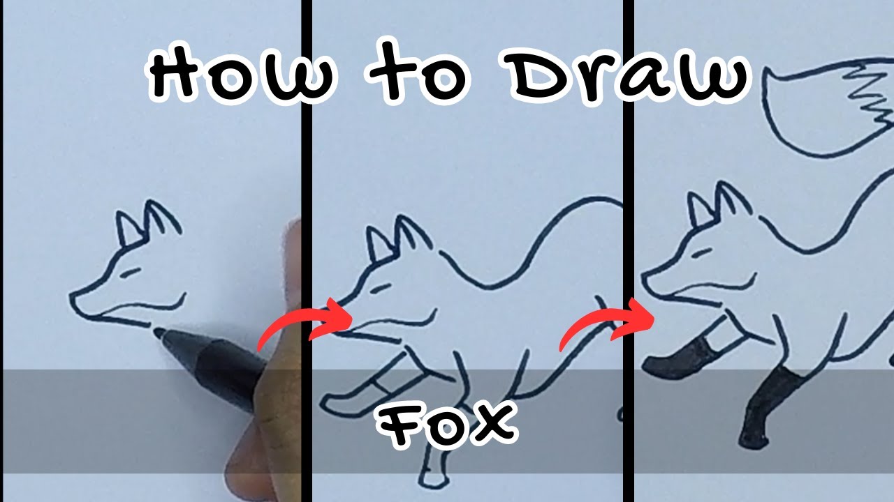 How to Draw Fox Easy - YouTube