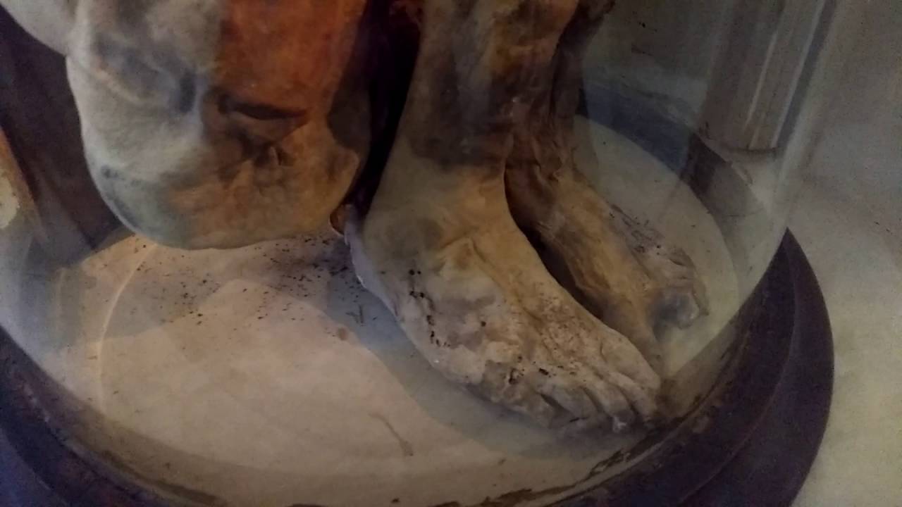500+ Year Old Mummy of a Girl - YouTube