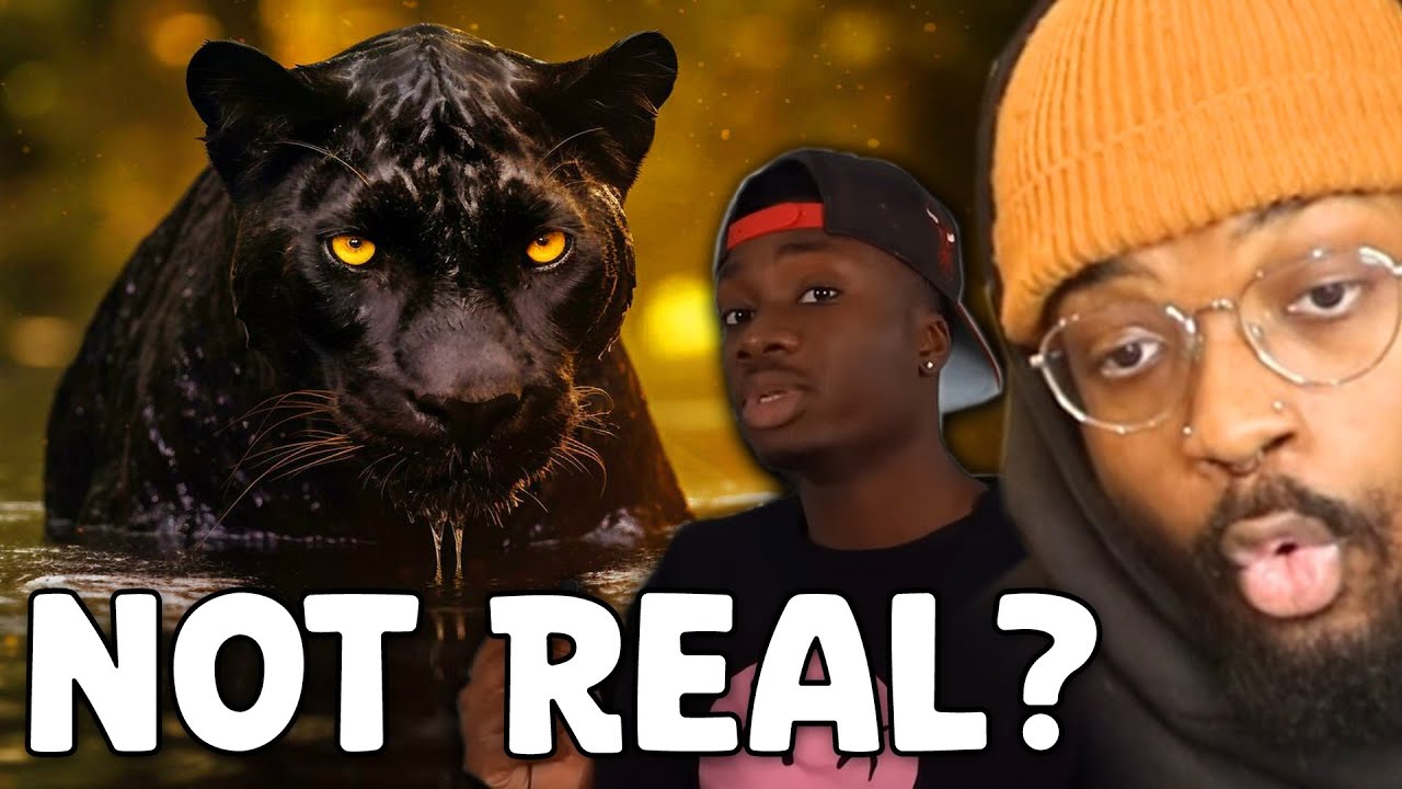 CASUAL GEOGRAPHIC PROVES BLACK PANTHERS ARE FAKE! - YouTube