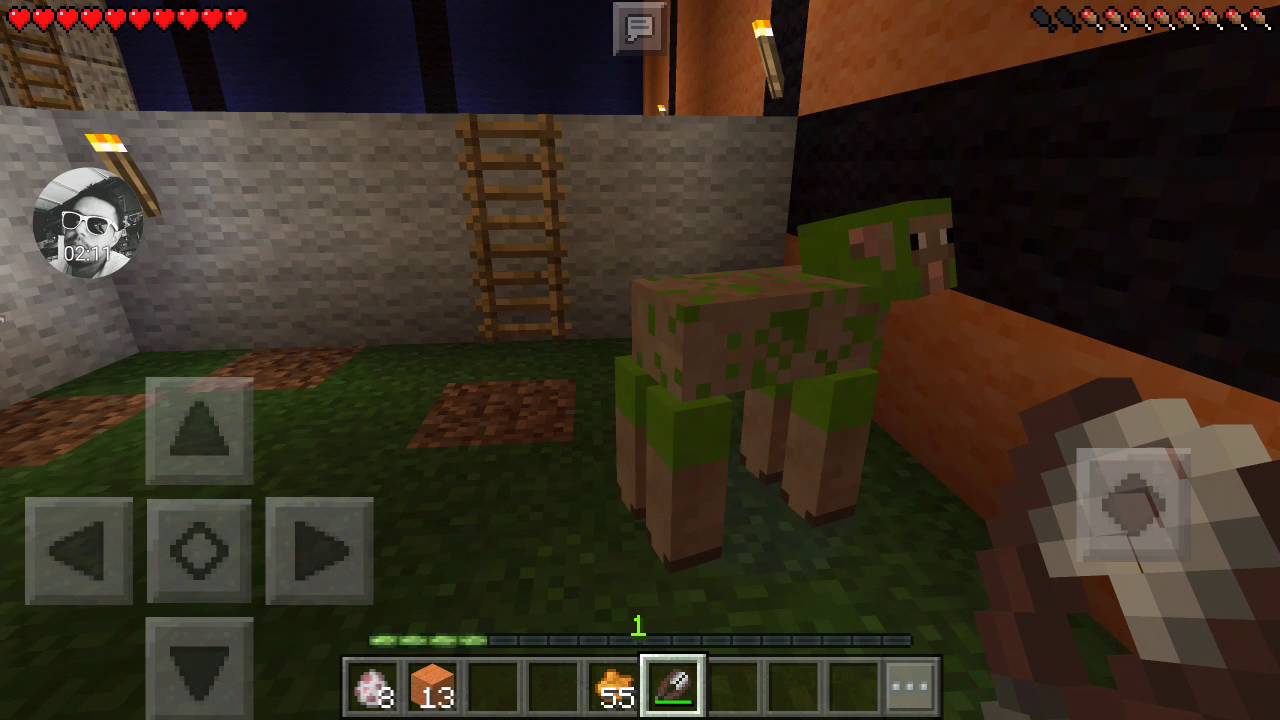 Minecraft pe the cube sheep game - YouTube