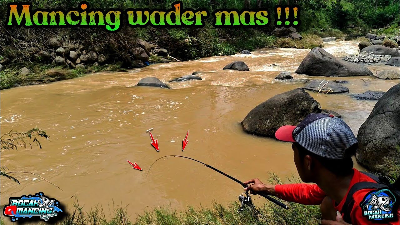 Mancing Wader Saat Banjir Air Keruh - YouTube