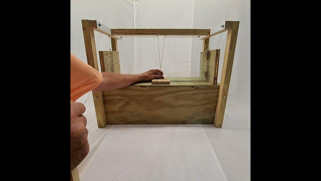 Armadillo Trap Video - YouTube