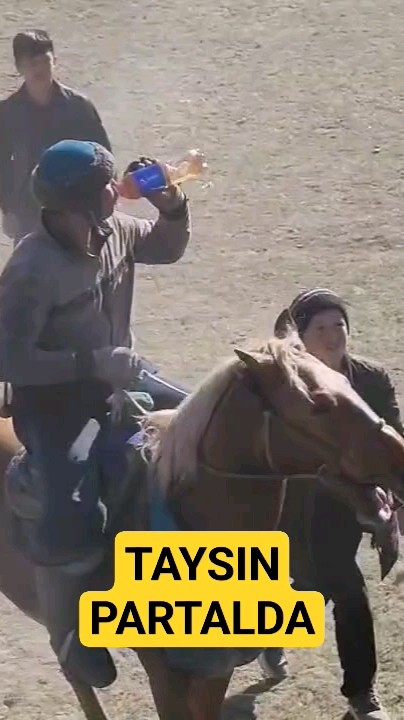 TAYSIN POLVON PARTALDA AYIRDI - YouTube