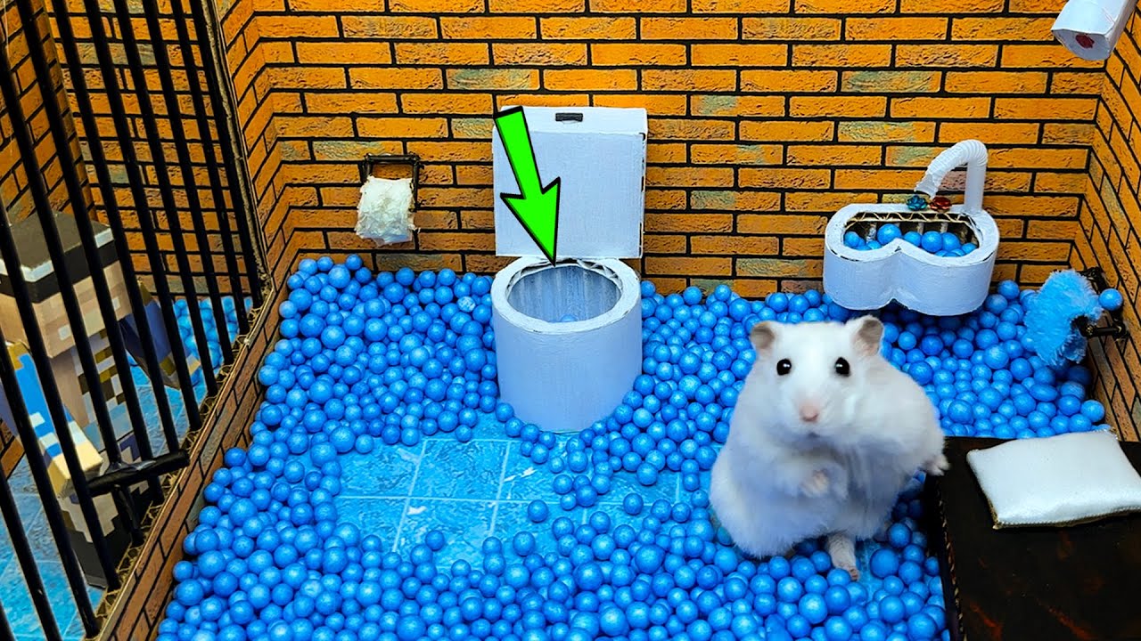 🐹 Hamster Escapes From the Prison Maze - Hamster Maze Adventures for in ...
