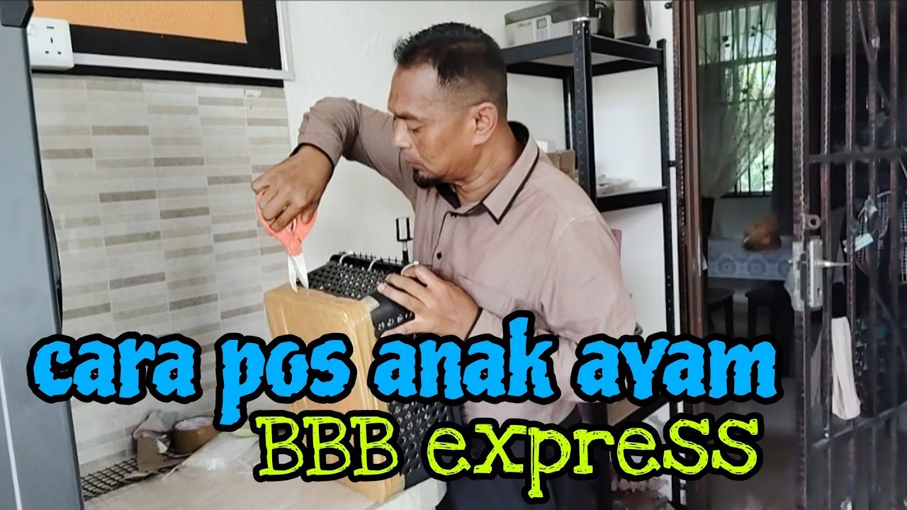[Episod1416] ini cara pos anak ayam guna BBB express - YouTube
