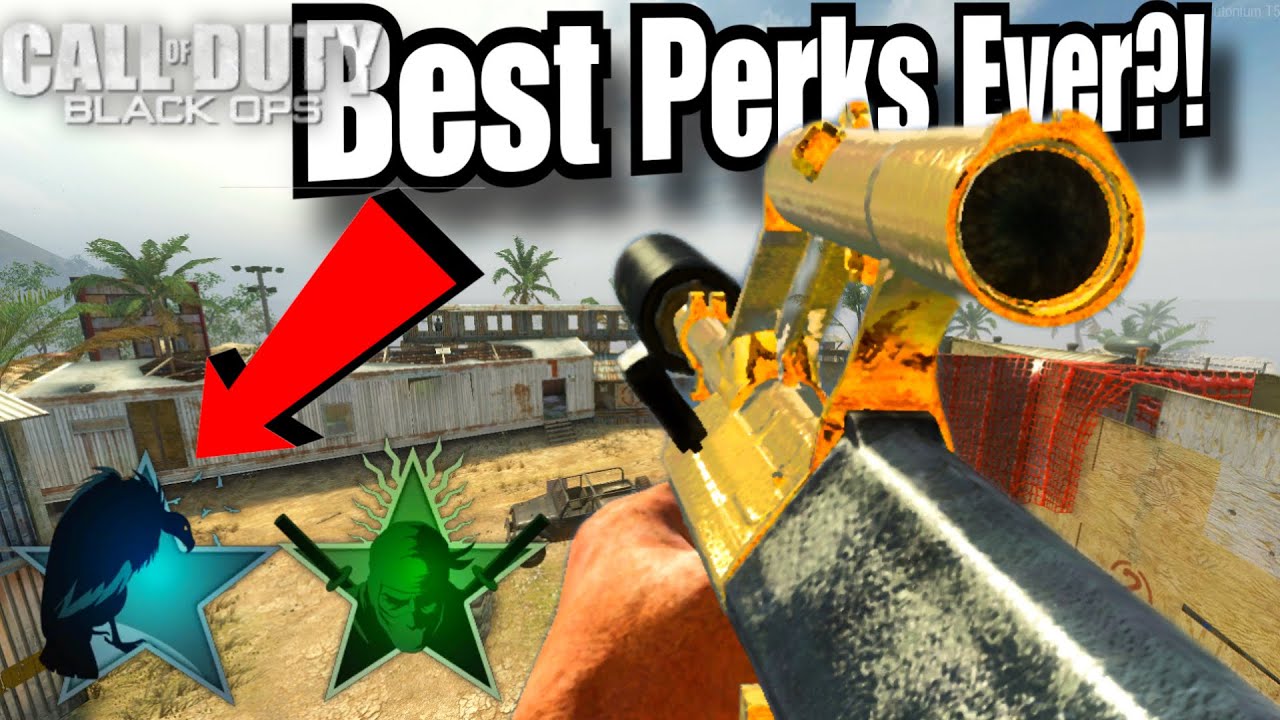 Unleashing Scavenger & Ninja Perks in Black ops 1: Silent Lethality ...