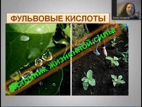 ФУЛЬВОВЫЕ КИСЛОТЫ компании Гринвей - YouTube