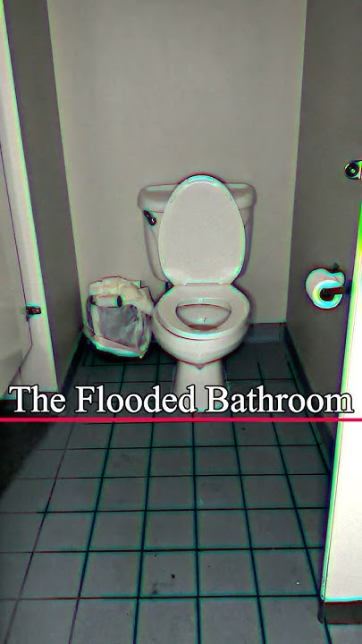 The Flooded Bathroom - YouTube
