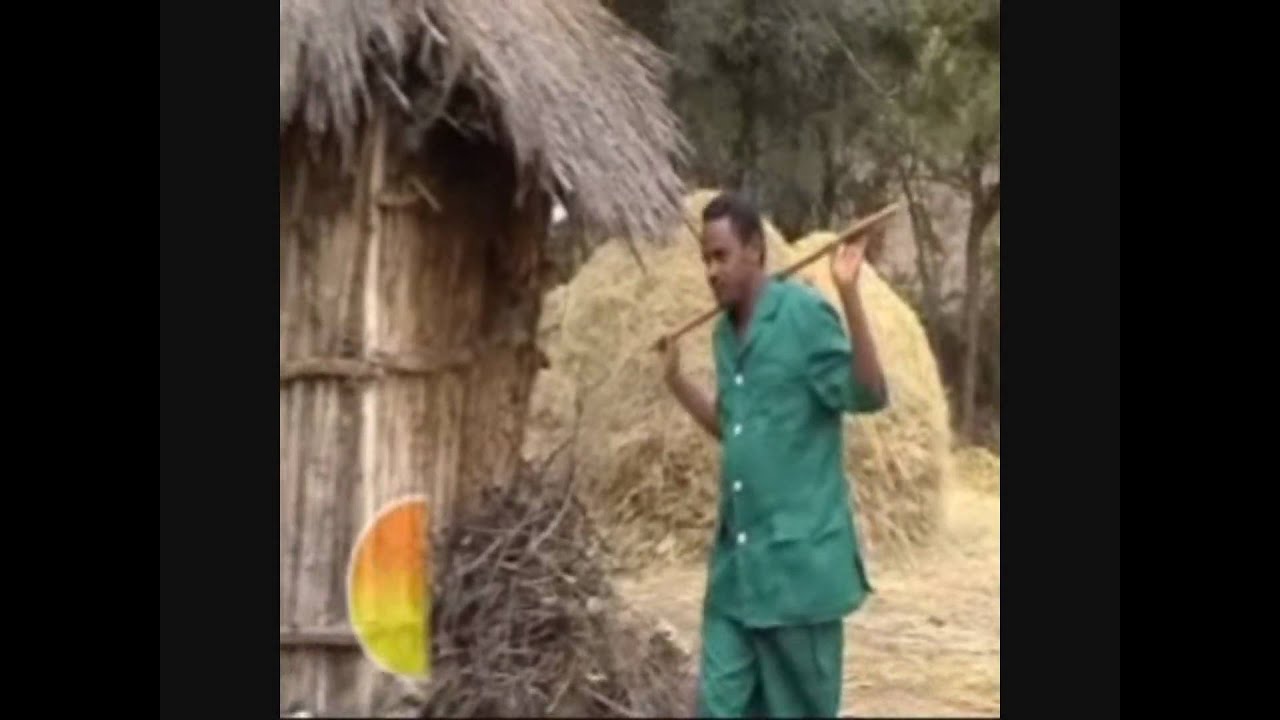 Ethiopian music . wollo tradition .Endris Husein in HD - YouTube