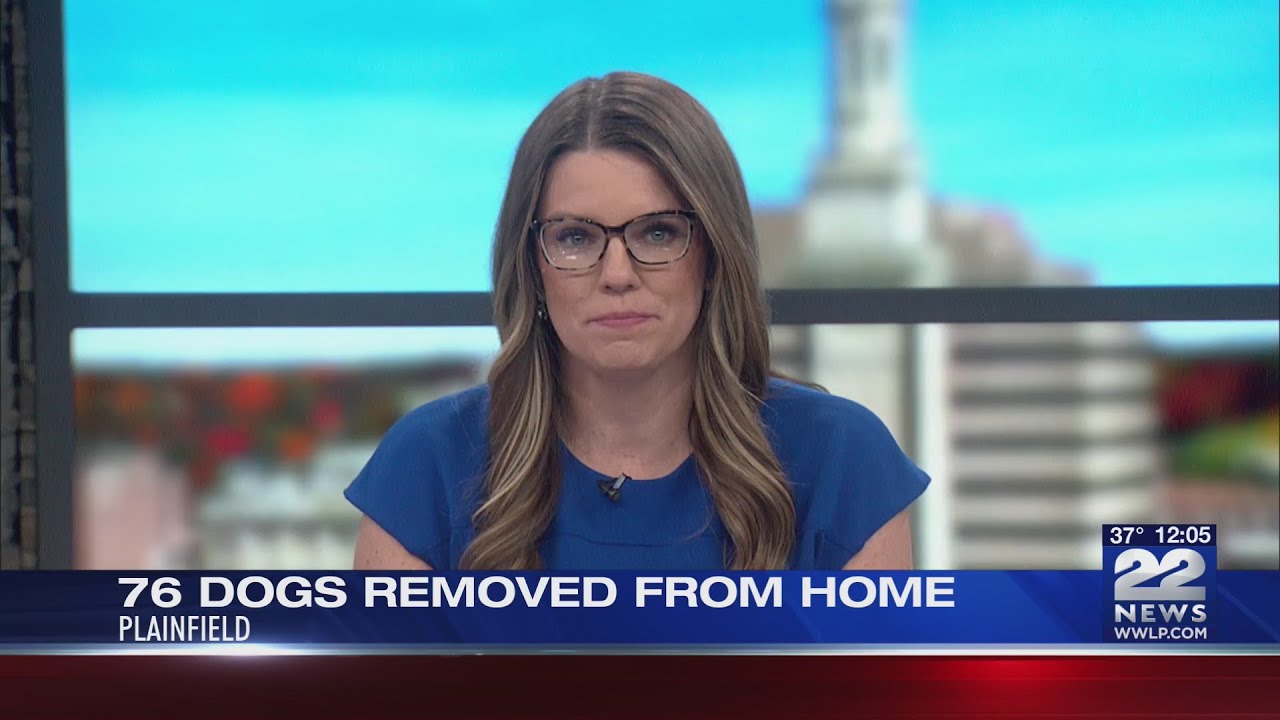 More than 70 dogs removed from home of Massachusetts breeder - YouTube