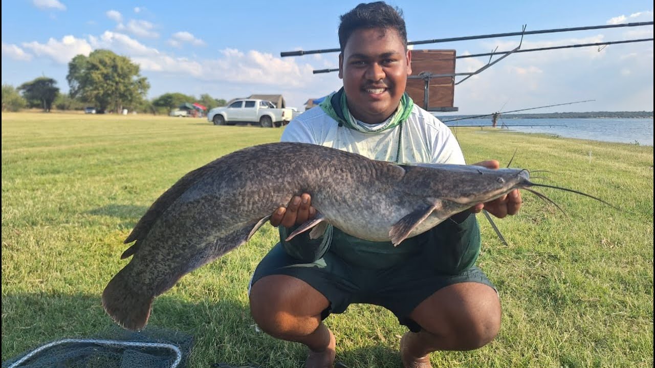 Roodekoppies Dam Carp and Barble Papgooi fishing at Roodekoppies Hengel ...