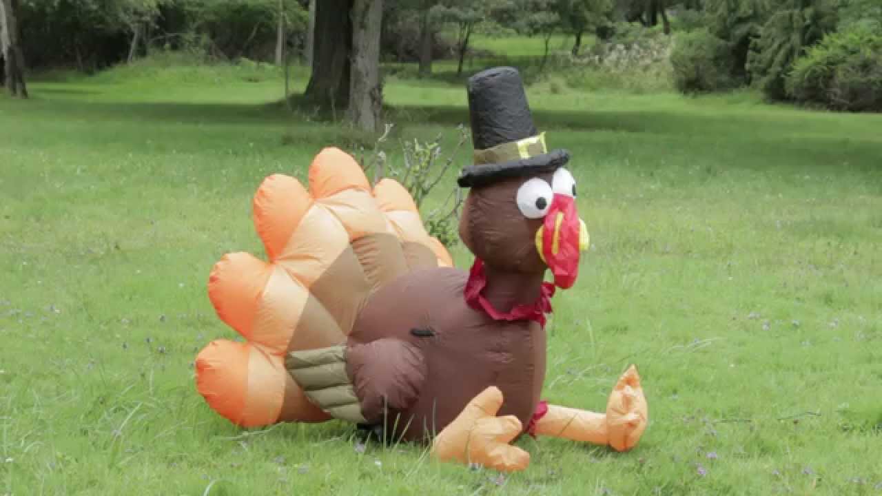 3' Thanksgiving Pilgrim Turkey Airblown - YouTube