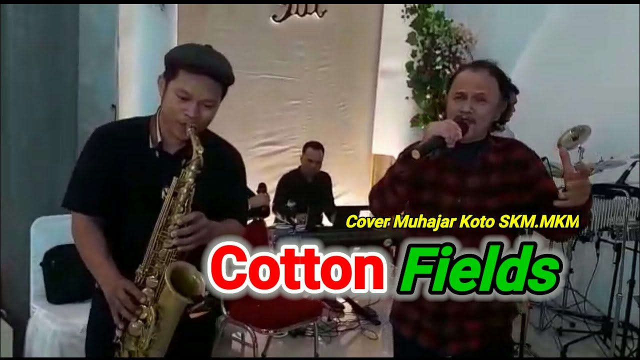 Cotton fields ~ Cover Muhajar Koto SKM.MKM - YouTube